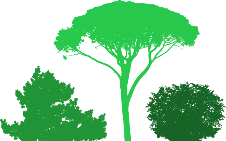 Landscape Design Software | Drafix Software | PRO Landscape+