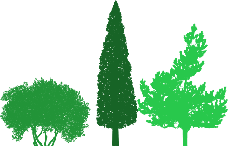 Landscape Design Software for Professionals | PRO Landscape+