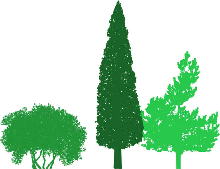 Landscaping and Garden Design Software and Apps | PRO Landscape+